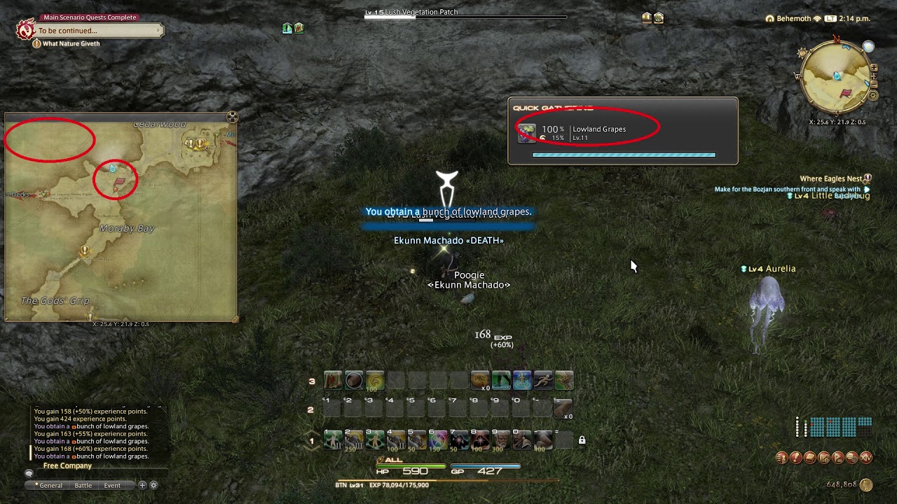 Lowland Grapes FFXIV - YouTube