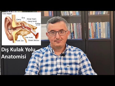 DIŞ KULAK YOLU ANATOMİSİ - ODYOMETRİNİN TEMELLERİ 2