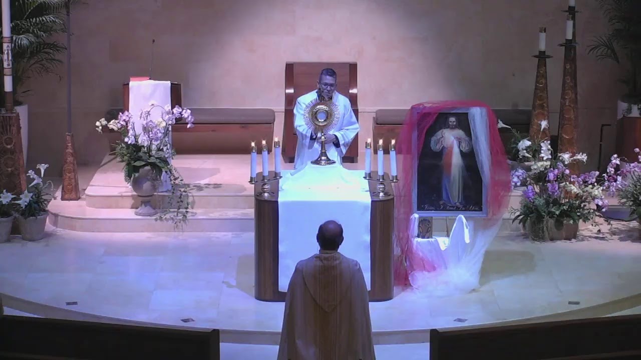 Feast of the Divine Mercy/Fiesta de la Divina Misericordia 04-19-2020 ...