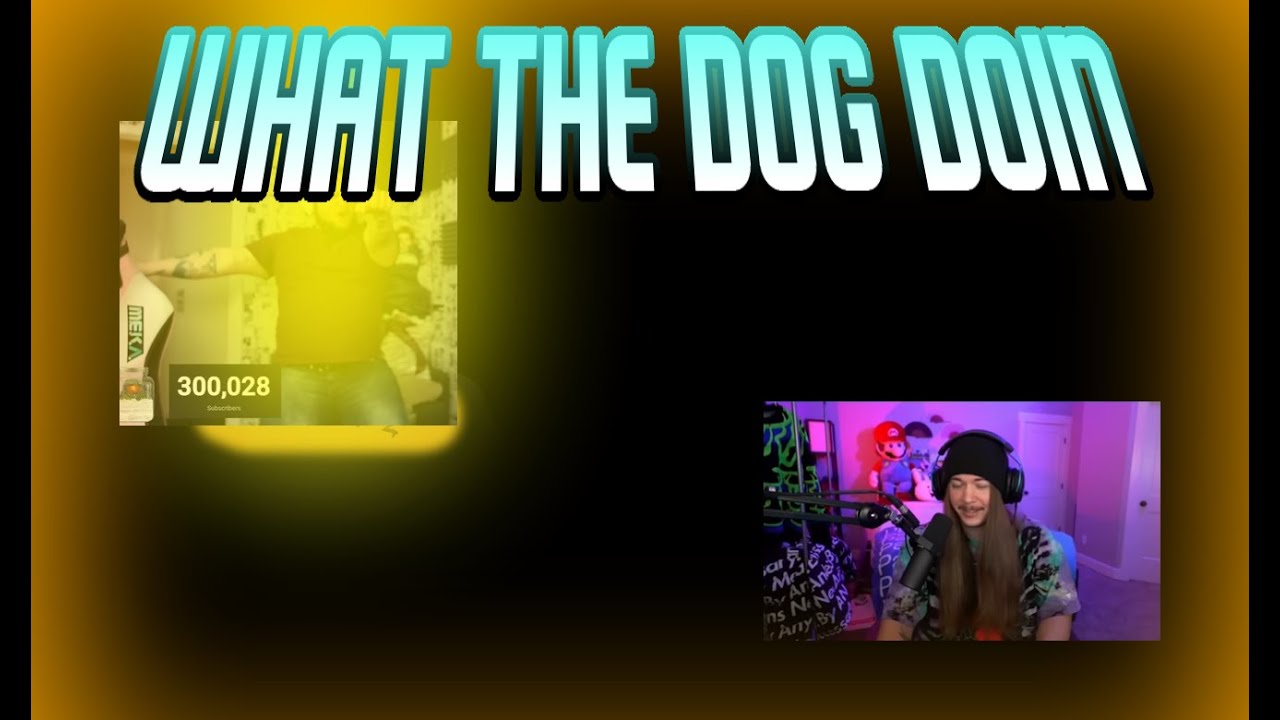 What the Dog doin | Sheetno but @StanleyMOV and @JimmyHereOfficial sing ...