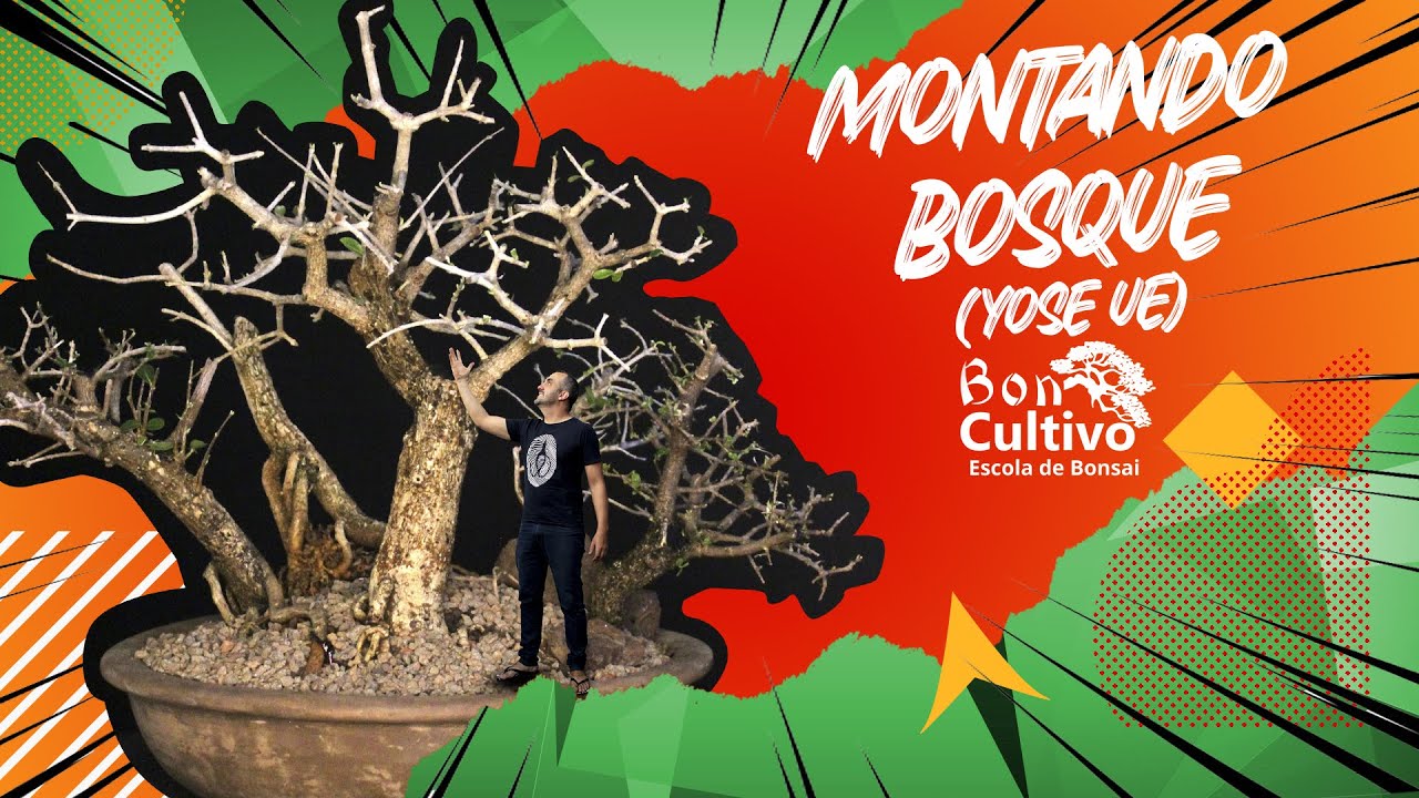 Montando Bosque (YOSE UE) - YouTube