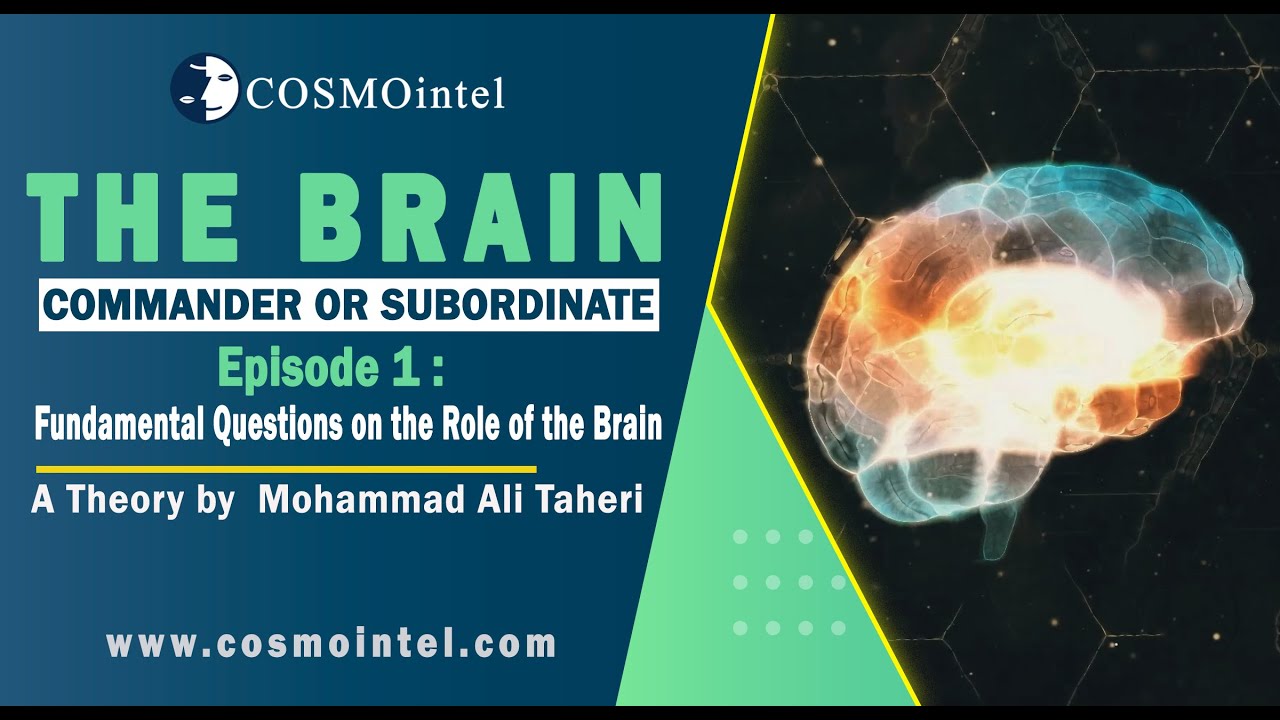 01- The Brain: Commander or Subordinate (A documentary) - Episode 1 ...