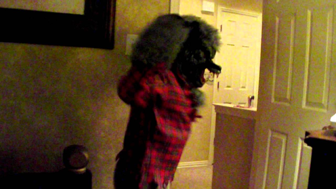 werewolf dance - YouTube
