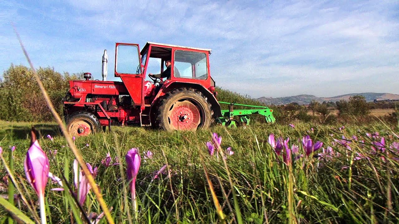 La arat cu tractorul UNIVERSAL 650 M, fabricație 1973 - YouTube