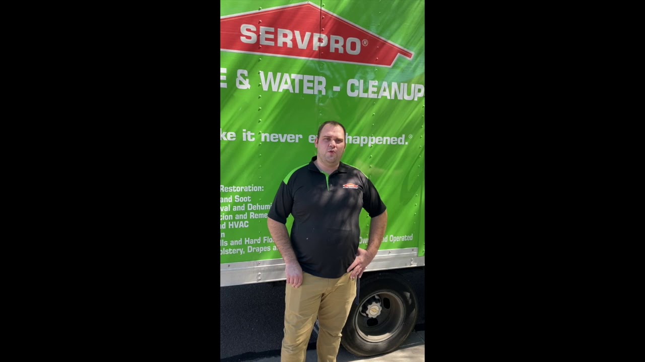 SERVPRO Mold Remediation - YouTube