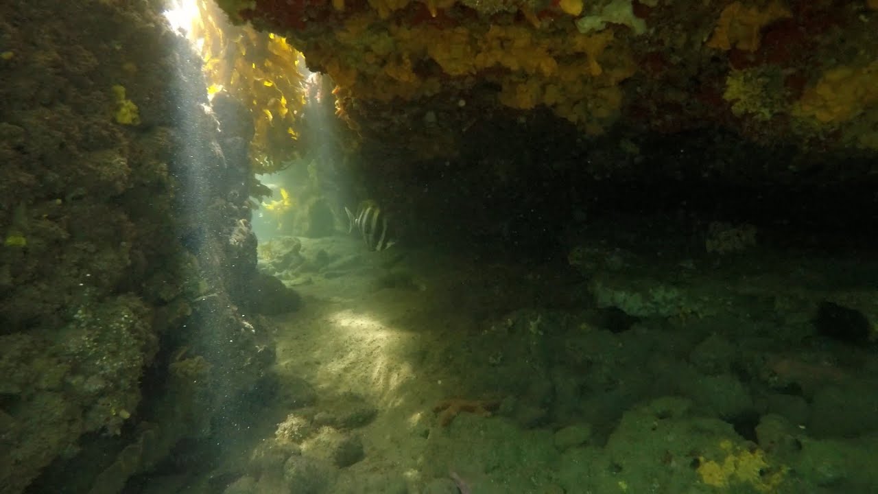 Snorkelling 'Quiet Corner' at Ricketts Point Marine Sanctuary - YouTube