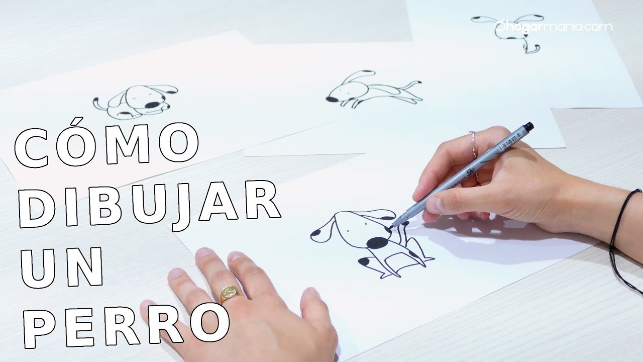 Cómo dibujar un perro ¡Paso a paso con Hogarmania! - YouTube