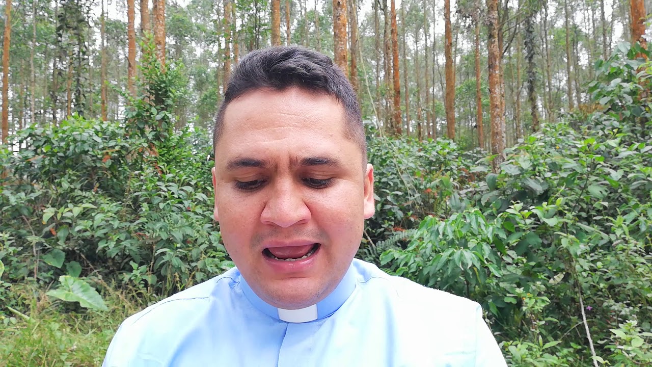 No descansaré hasta que brille la luz de tu libertad | Padre Andrés ...