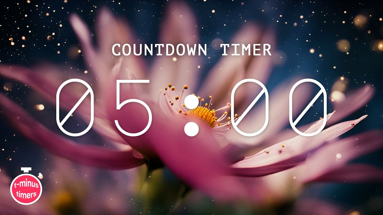 5 minute countdown timer | Lofi Spring Music - YouTube