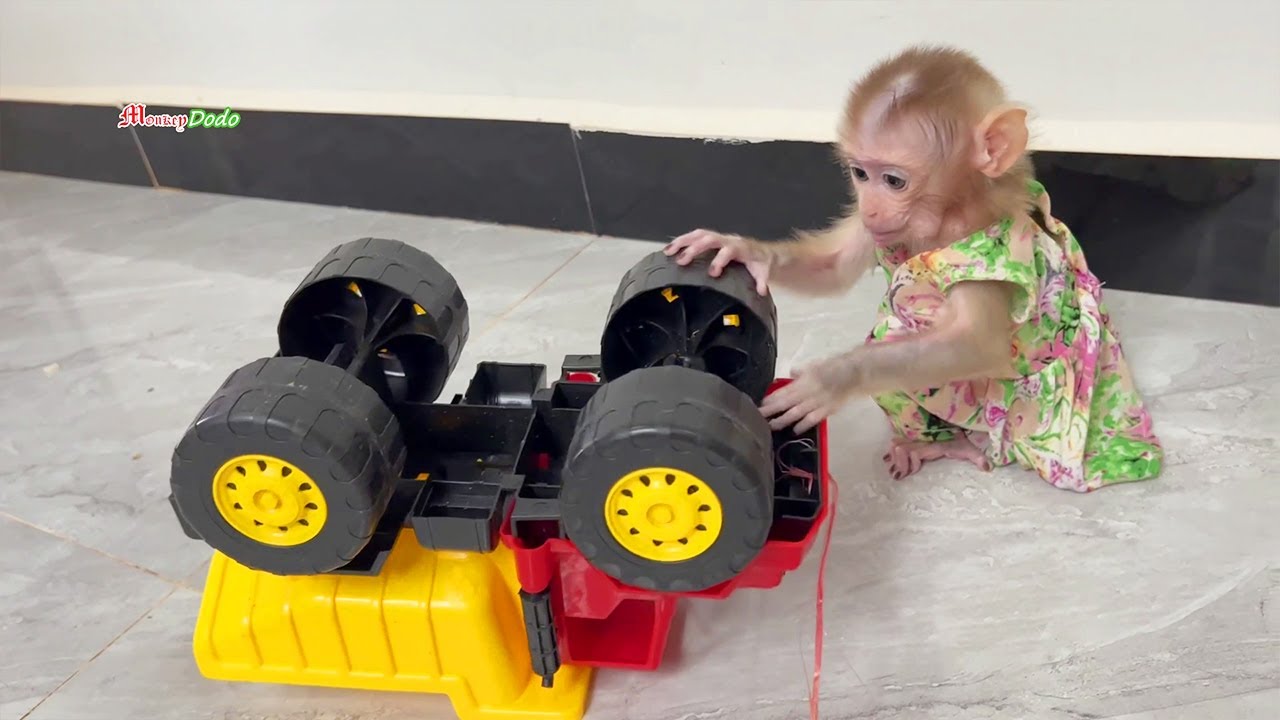 Enjoying Time Jenna Playing Toy Car & Moving Car Tire - YouTube