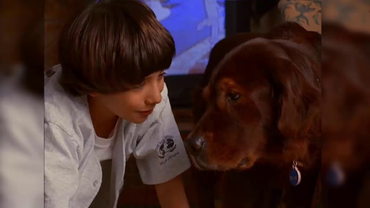 Theme Film Fluke Soundtrack - YouTube