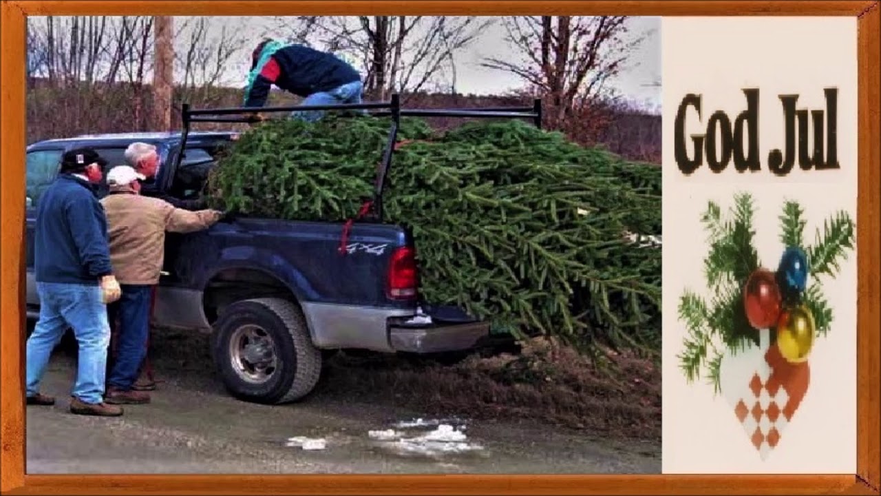 Red Simpson - Truckin' Trees For Christmas - YouTube