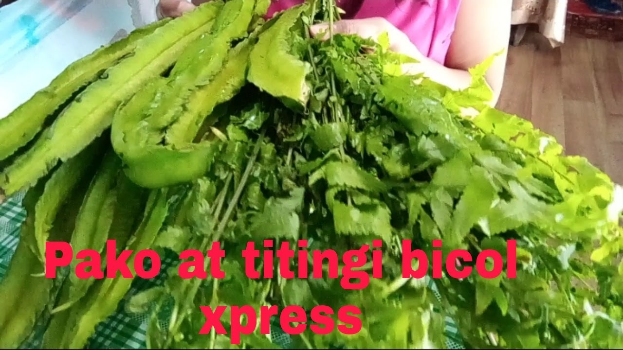 Pinaka masarap gawin ito bicol express titingi at pako.. - YouTube