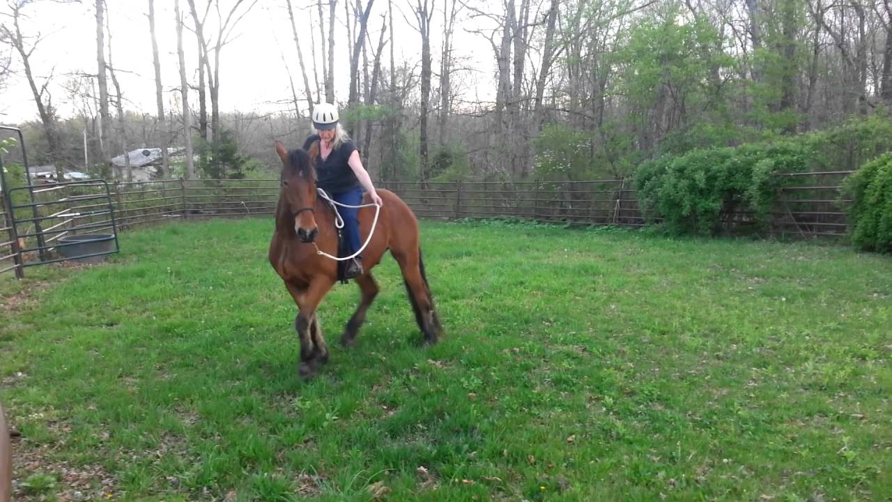 First time on Sully's back - YouTube