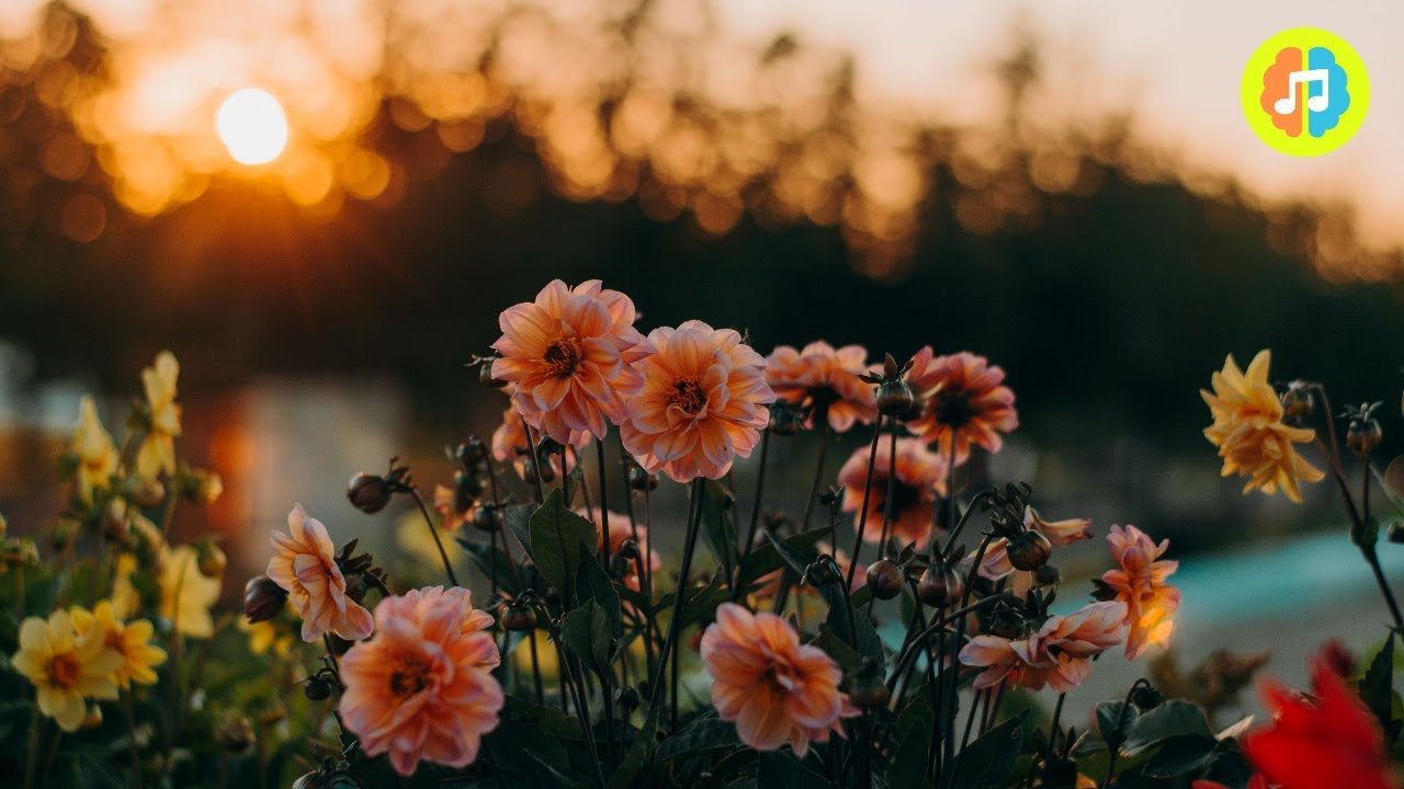 Music to Relax & Uplift | 1 Hour | Flowers and Running Water Calming ...