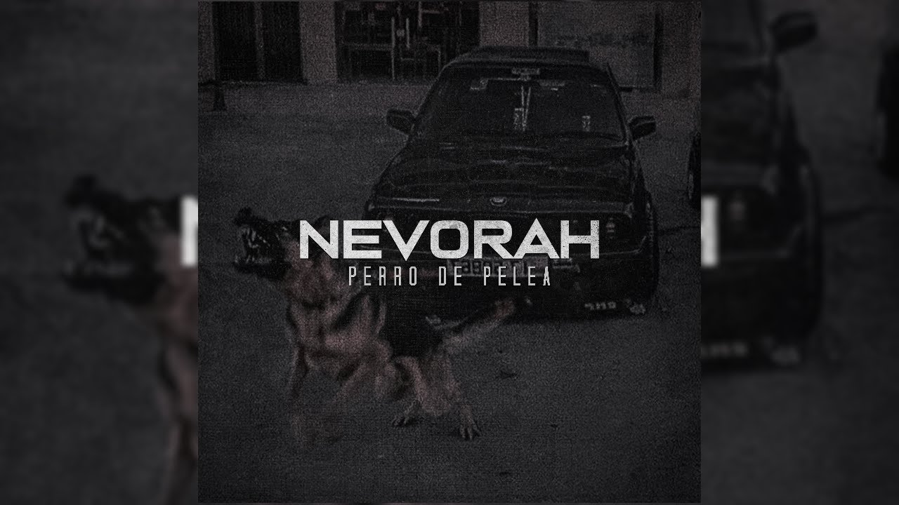 Nevorah - Perro de Pelea - YouTube