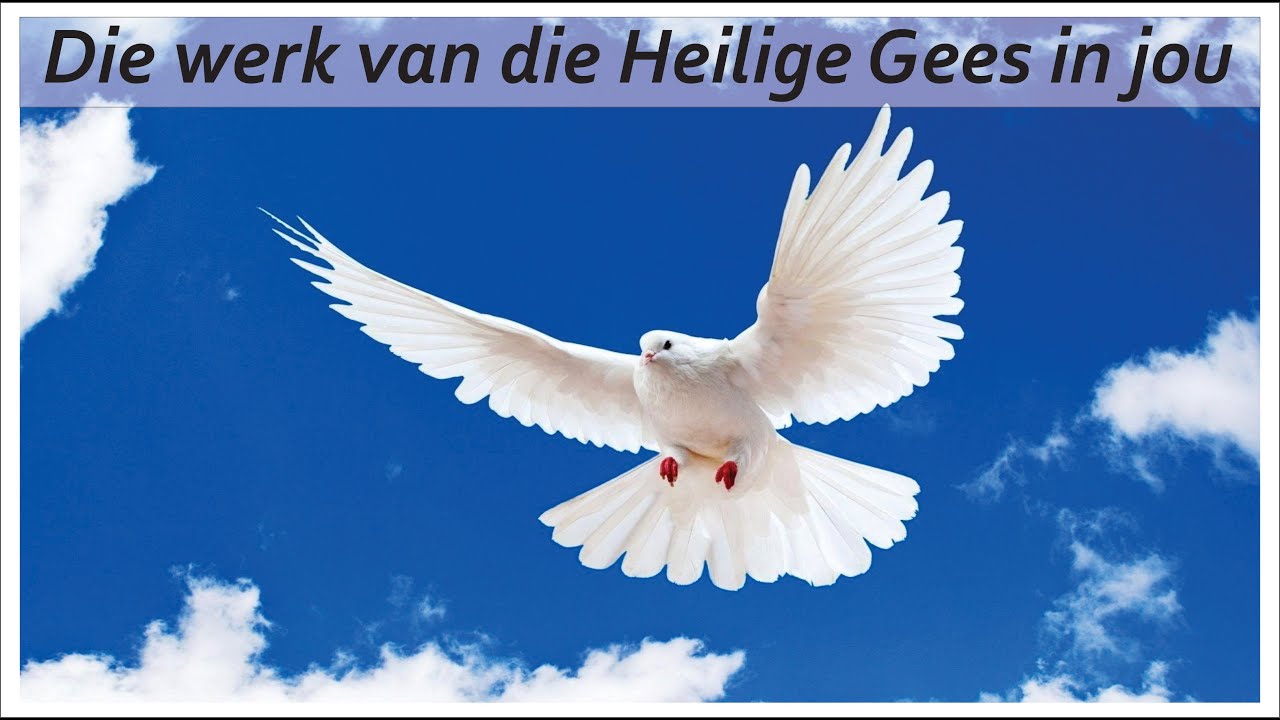 20240411 Die Heilige Gees openbaar Jesus Christus - YouTube