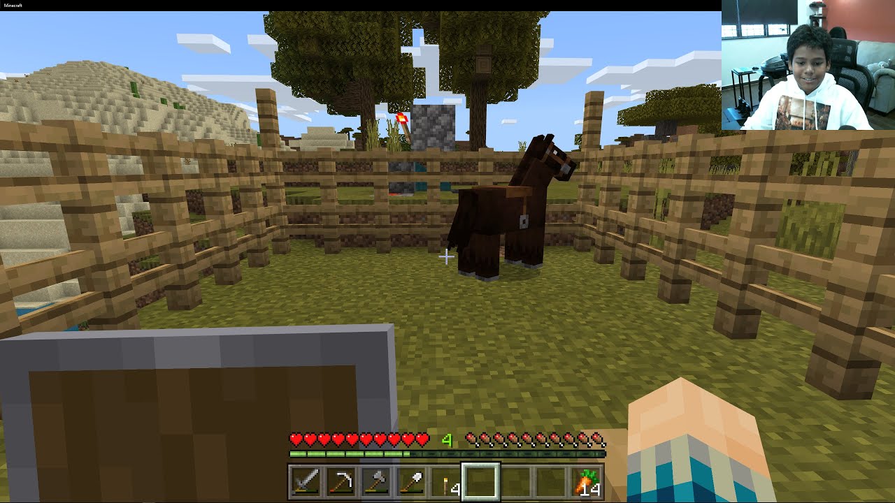 Minecraft Episode 12 : Horse Pen - YouTube