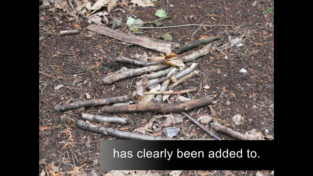 A Naturalist's observations of the unnatural around us. Part 11. - YouTube