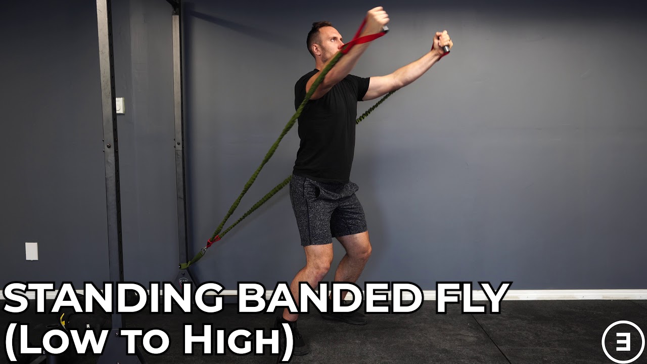 Standing Banded Fly (Low to High) - YouTube