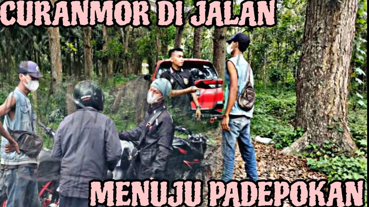 CURANMOR BERAKSI - YouTube