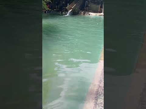 sa villa Felomina Nature Spring Resort in INDANG Cavite - YouTube