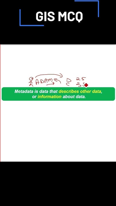 GIS Metadata Explained | Metadata in GIS #GIS #SHORTS - YouTube