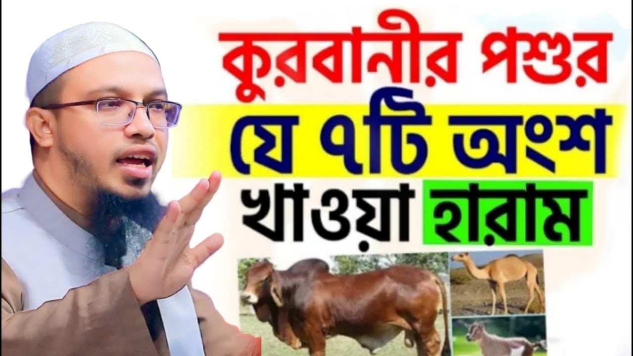 কোরবানির আগে শুনুন।কোরবানি পশুর যে ৭টি অংশ খাওয়া হারাম। সবার জানা ...