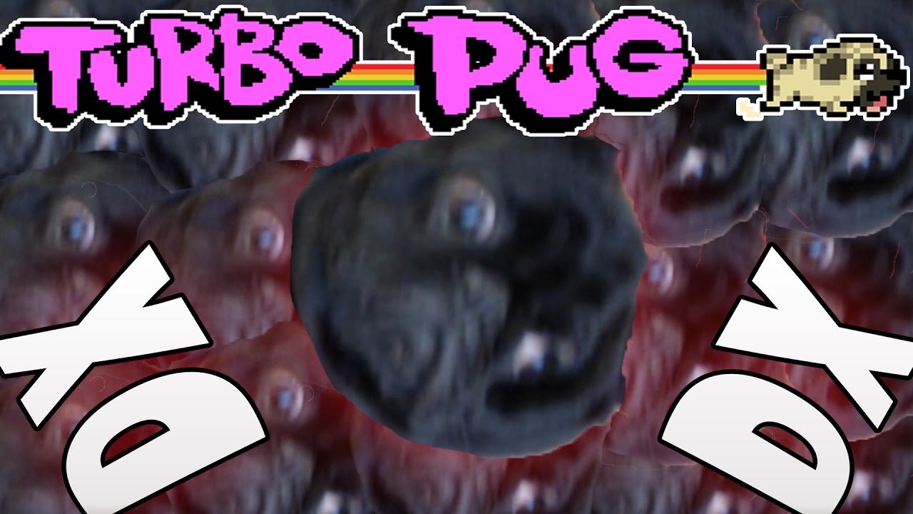 TURBO PUG XD W/ DEXTER!!! - YouTube