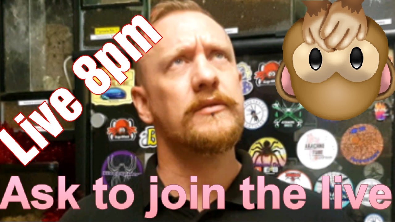 LOCKDOWN LIVE #lockdownlive - YouTube