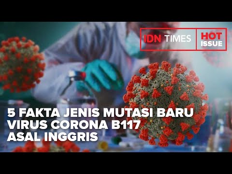 JENIS MUTASI BARU VIRUS CORONA B117 ASAL INGGRIS, INI 5 FAKTANYA