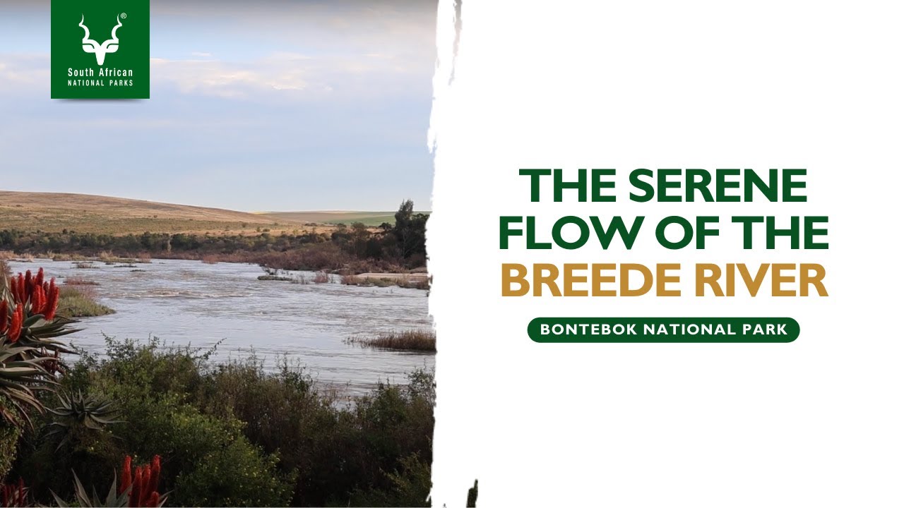 The Serene Flow of the Breede River | #SANParks - YouTube