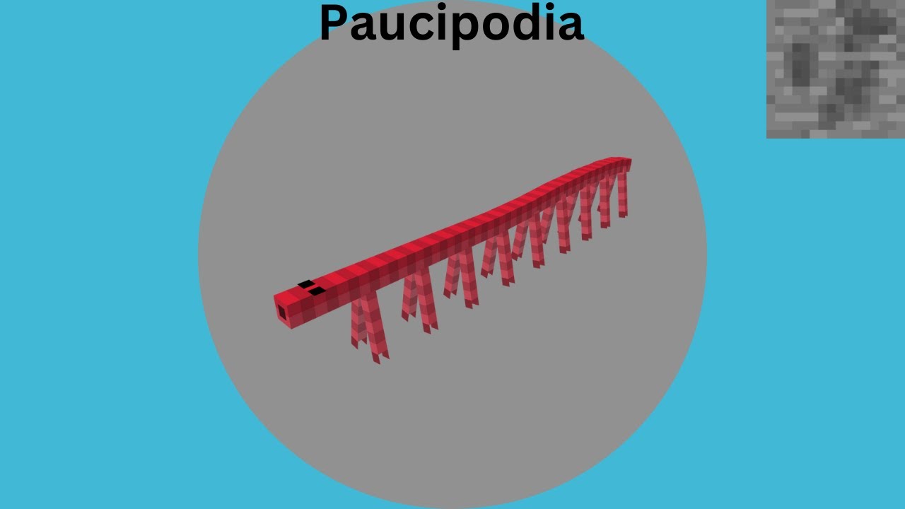 Prehistoric nature - Paucipodia species profile - YouTube