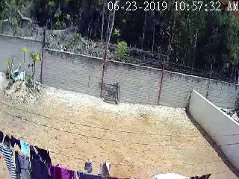 Xxx sd x. Th d cg x.  C cdc ttc.