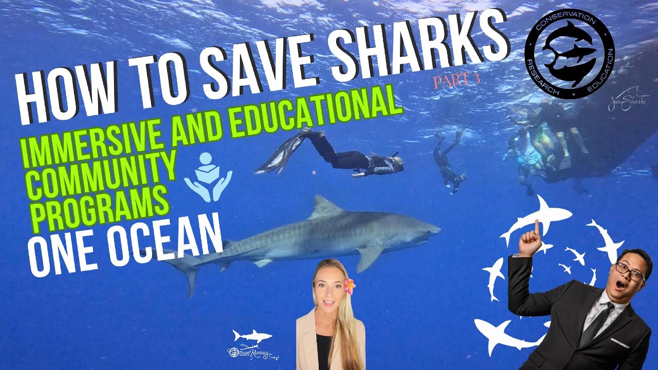 👀😳 WOULD YOU DO THIS?‼️ How to Save Sharks #OneOcean #sharkConservation ...