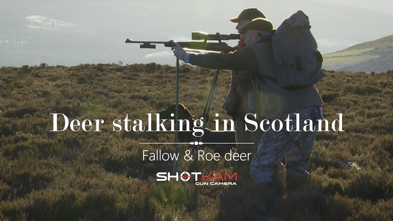 Deer stalking in Scotland [ShotKam] - YouTube