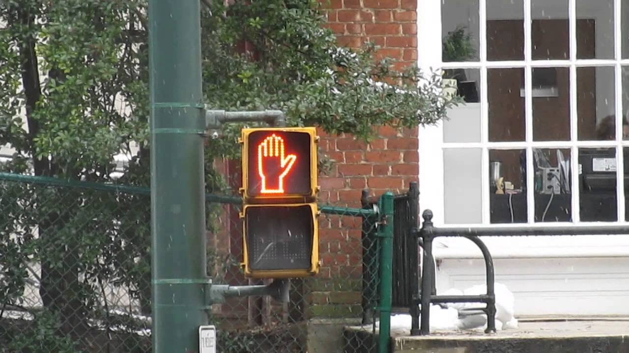 Tassimco LED Pedestrian Signal Lenses - YouTube