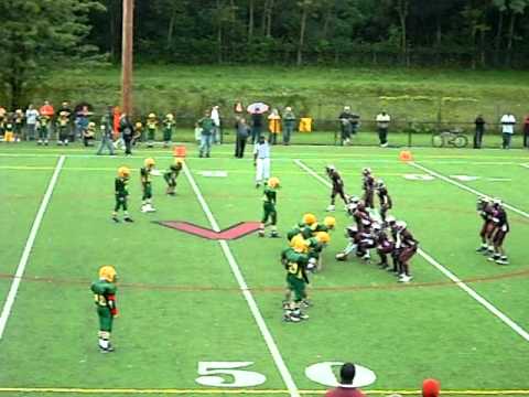 VALLEY STALLIONS - YouTube