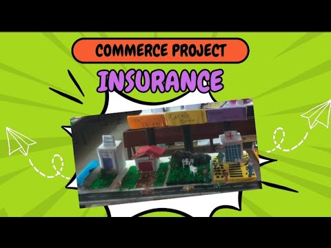 Insurance project model|science exhibition|commerce project - YouTube