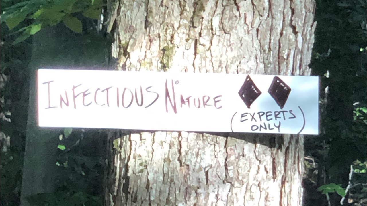 Wheelerville trails - “infectious nature” - YouTube