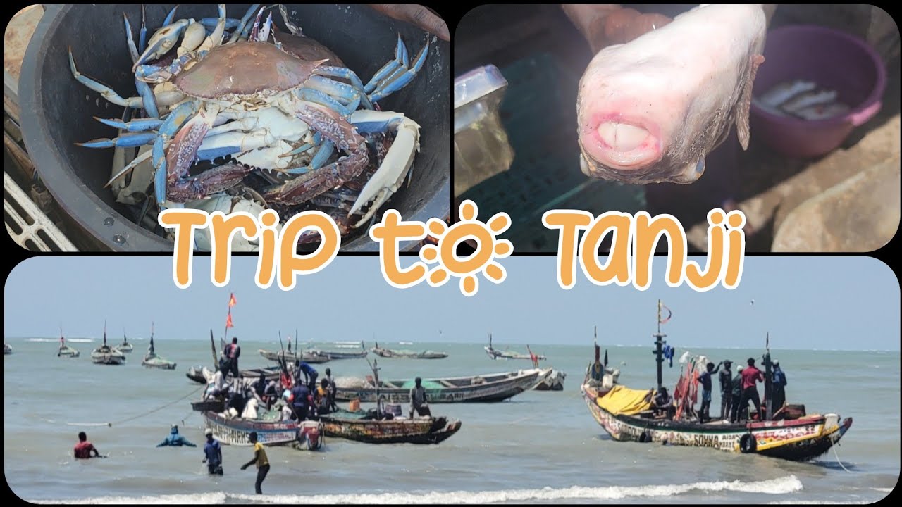 A Mini Road Trip To Tanji 🪼 - YouTube
