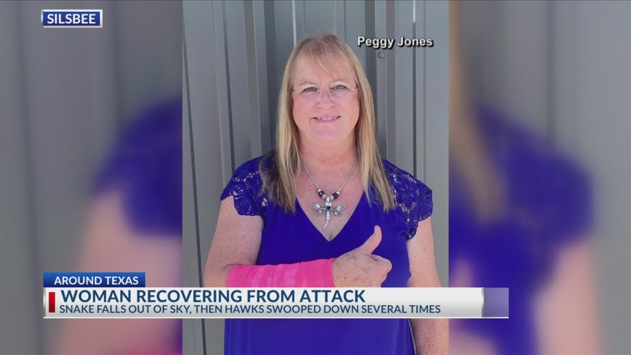 Texas woman injured after hawk drops snake on her arm, then attacks ...