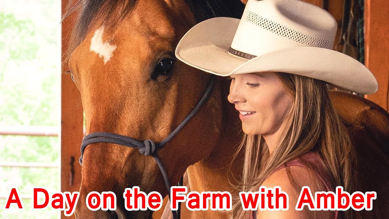 A Day on the Farm with Amber Marshall: Winter Preparations for Happy Animals - YouTube