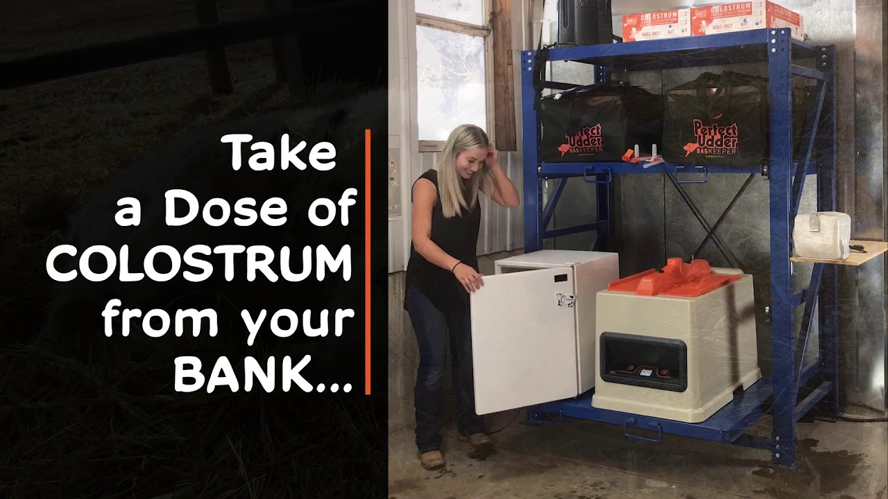 Perfect Colostrum Management in 46 Seconds - YouTube