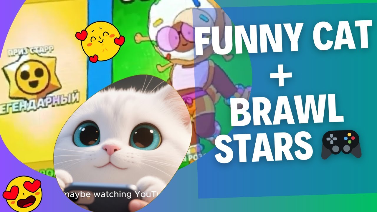 Brawl Stars Star Drop Opening Funny Cat Intro - YouTube