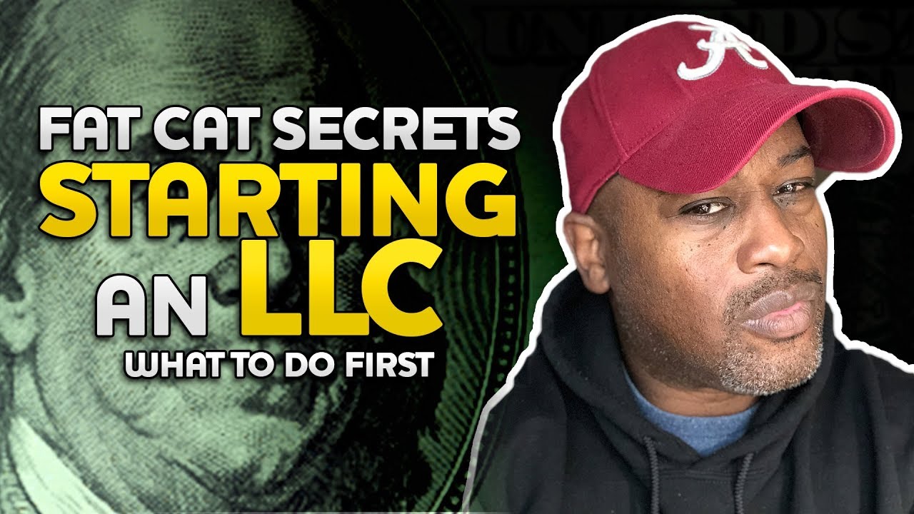 FAT CAT SECRETS the first STEPS to STARTING AN LLC in 2019 How to start ...