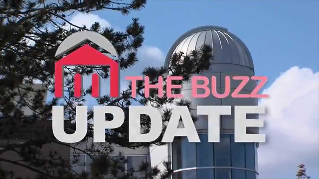 November 23, 2015 - The Buzz Update - YouTube