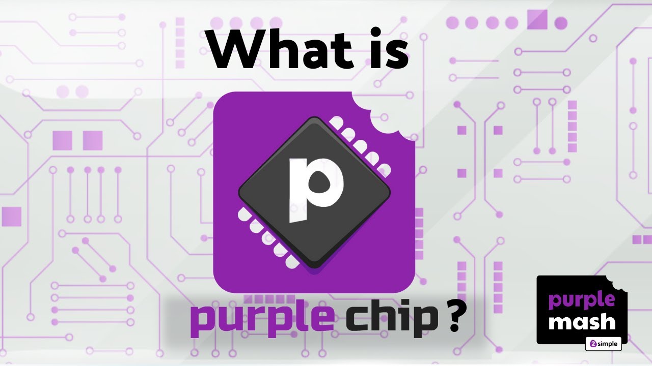 What does our Purple Chip App do? - YouTube
