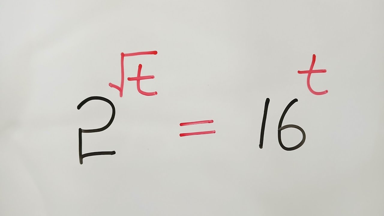 Only 5% of Math Students get it RIGHT - YouTube