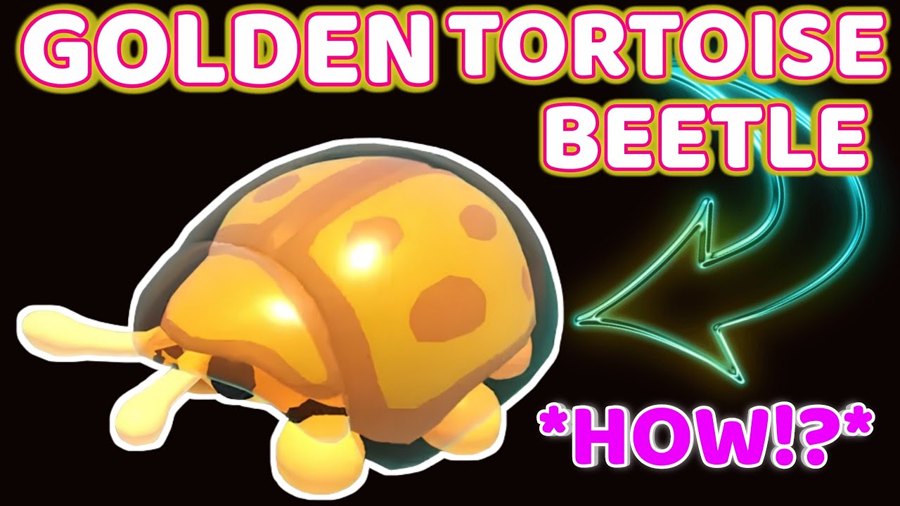 Golden Tortoise Beetle in Adopt Me! - YouTube